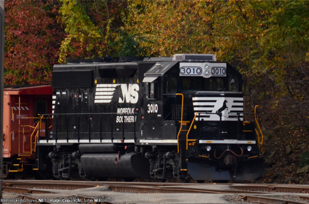 NS 3010